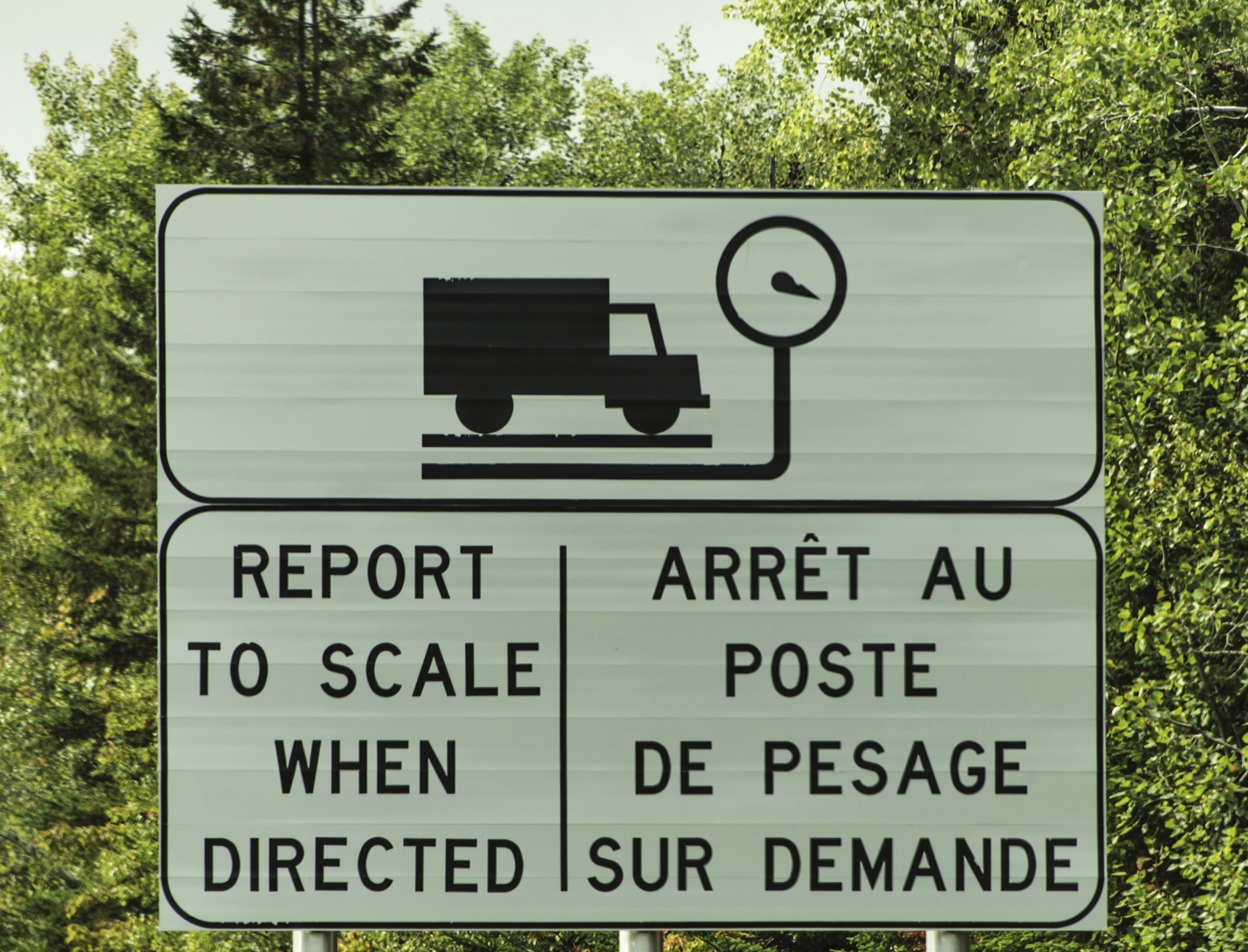 THE HUMANOIDS ARE HERE